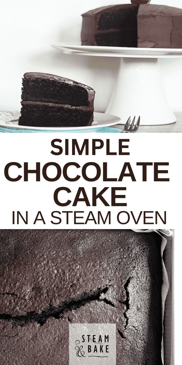 Simple Steam Oven Chocolate Cake - Steam & Bake