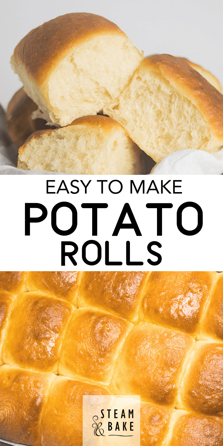 How to Make Easy Potato Rolls - Steam & Bake