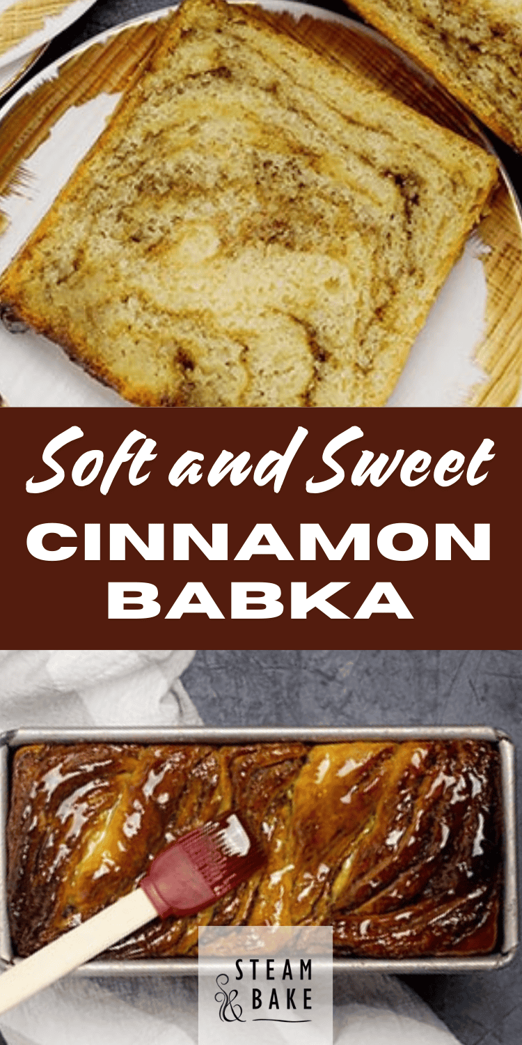 Twisted Cinnamon Bread (Babka) with Honey Syrup - Steam & Bake