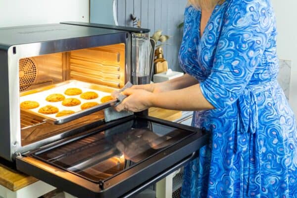Countertop Steam Ovens: An Overview - Steam & Bake