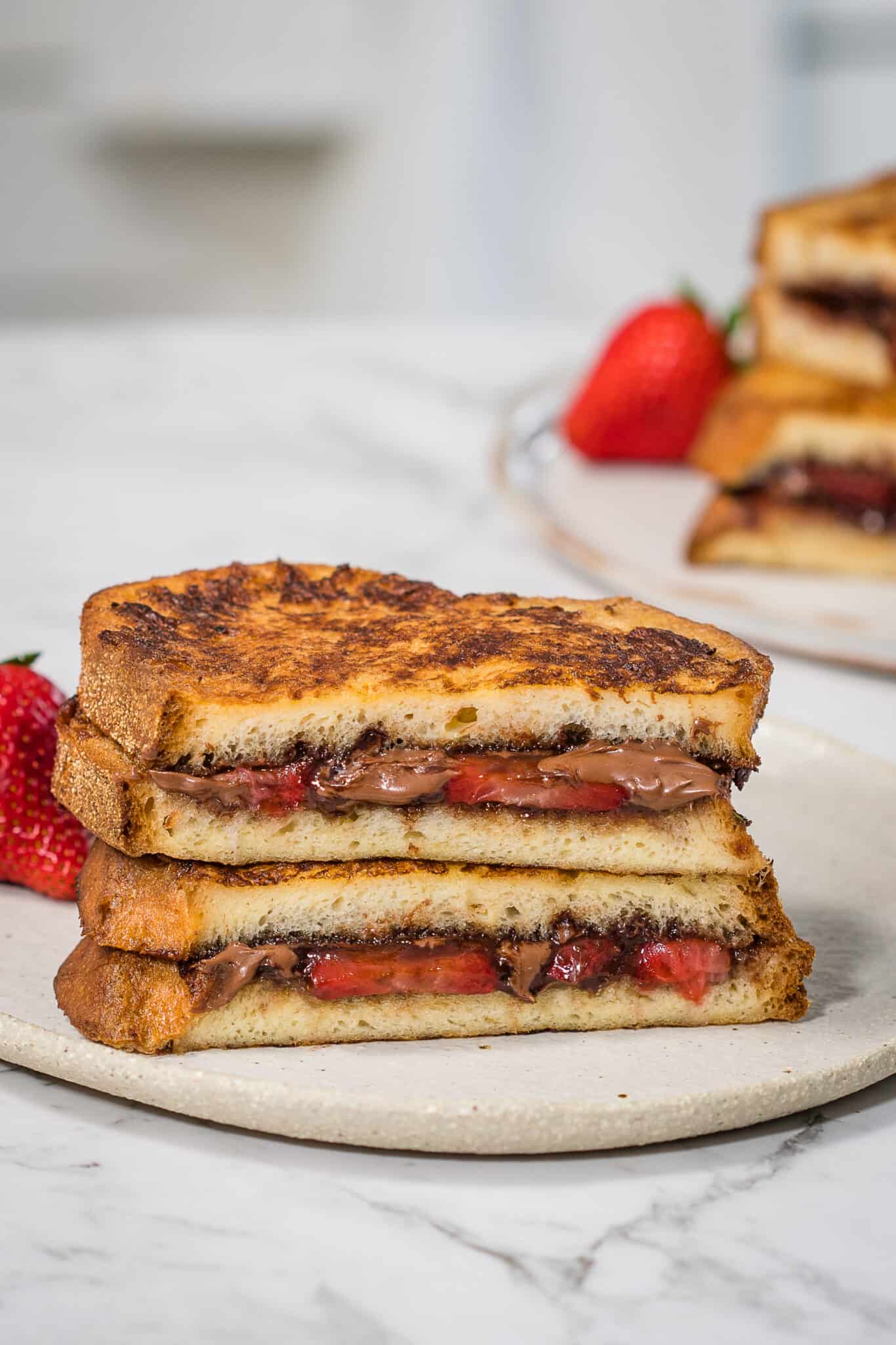 Christmas Steam Oven cookbook (print/paperback)