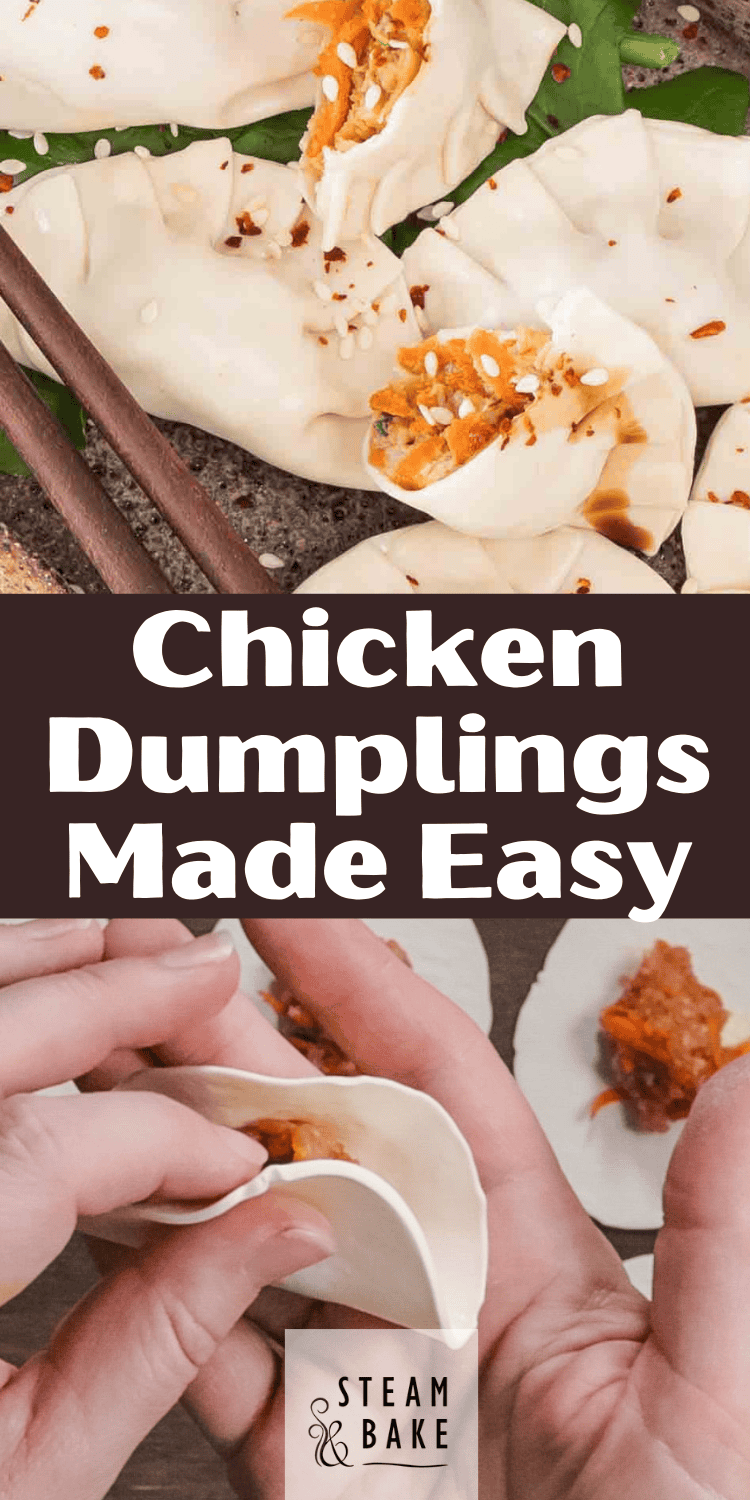Chicken Steamed Dumplings (and how to steam dumplings at home) - Steam ...