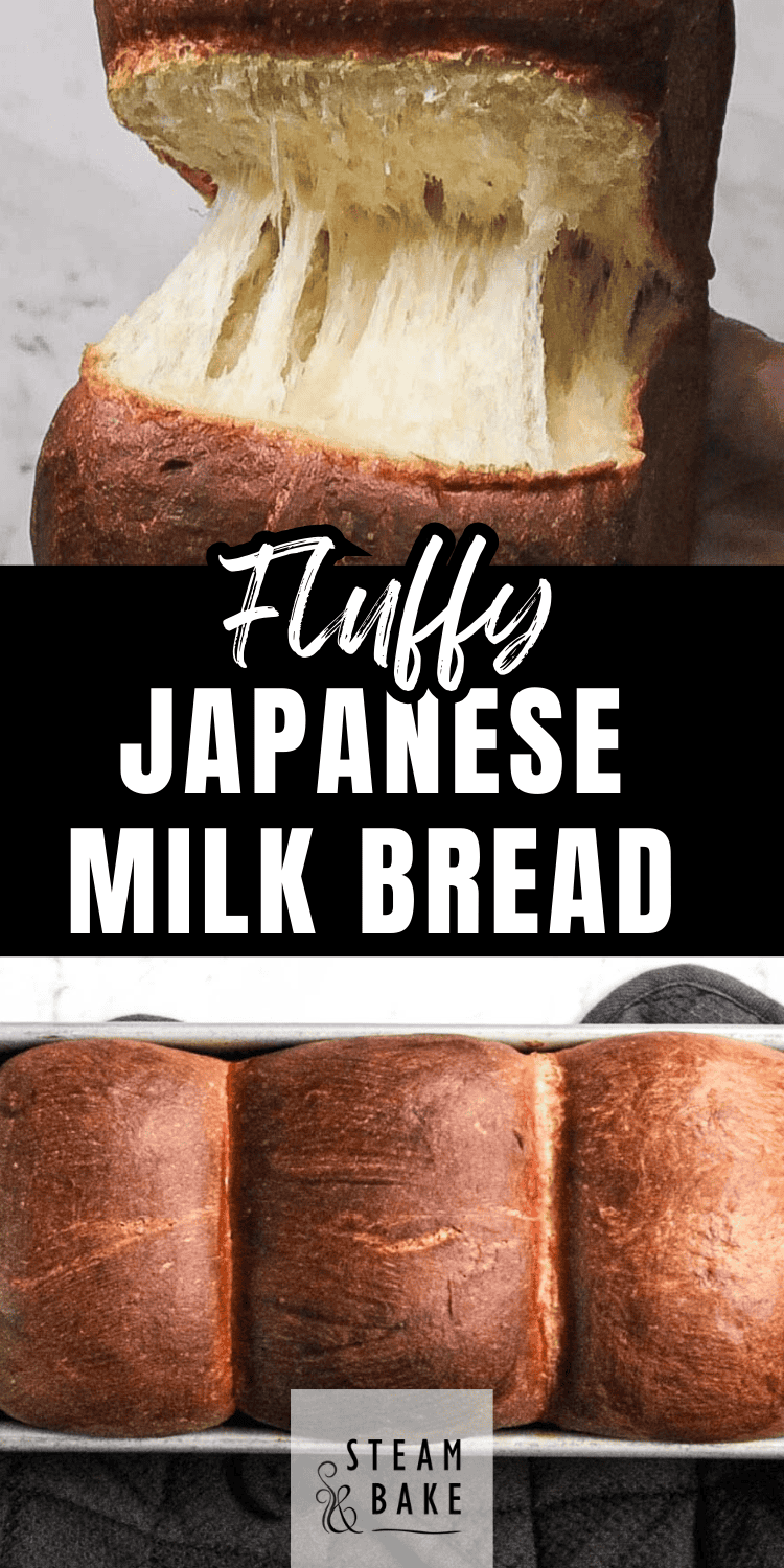 Simple, Soft Japanese Milk Bread Recipe (Hokkaido Milk Bread)