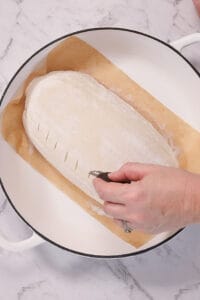 Simple, Foolproof Steam Oven Sourdough Bread (Recipe) - Steam & Bake