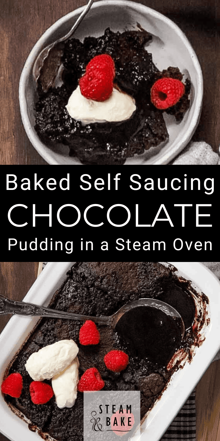 Quick Self Saucing Steam Oven Chocolate Pudding - Steam & Bake