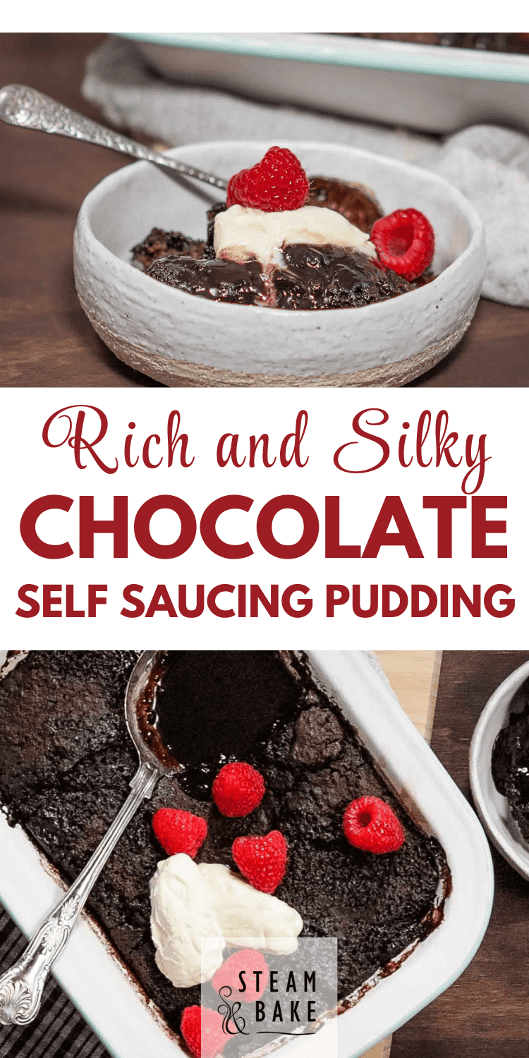 Quick Self Saucing Steam Oven Chocolate Pudding - Steam & Bake