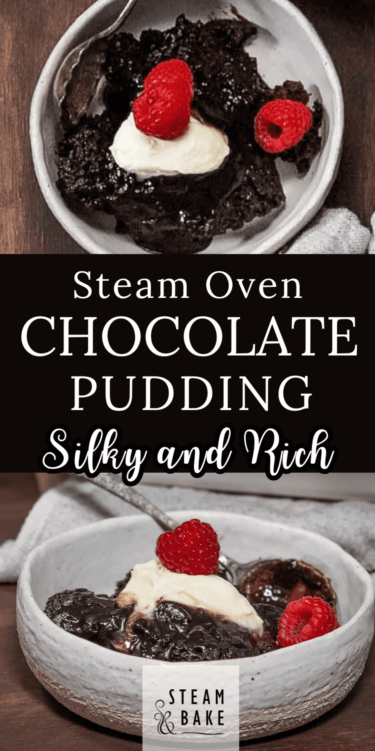 Quick Self Saucing Steam Oven Chocolate Pudding - Steam & Bake