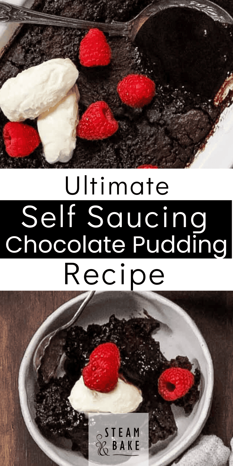 Quick Self Saucing Steam Oven Chocolate Pudding - Steam & Bake