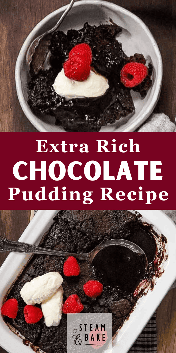 Quick Self Saucing Steam Oven Chocolate Pudding - Steam & Bake