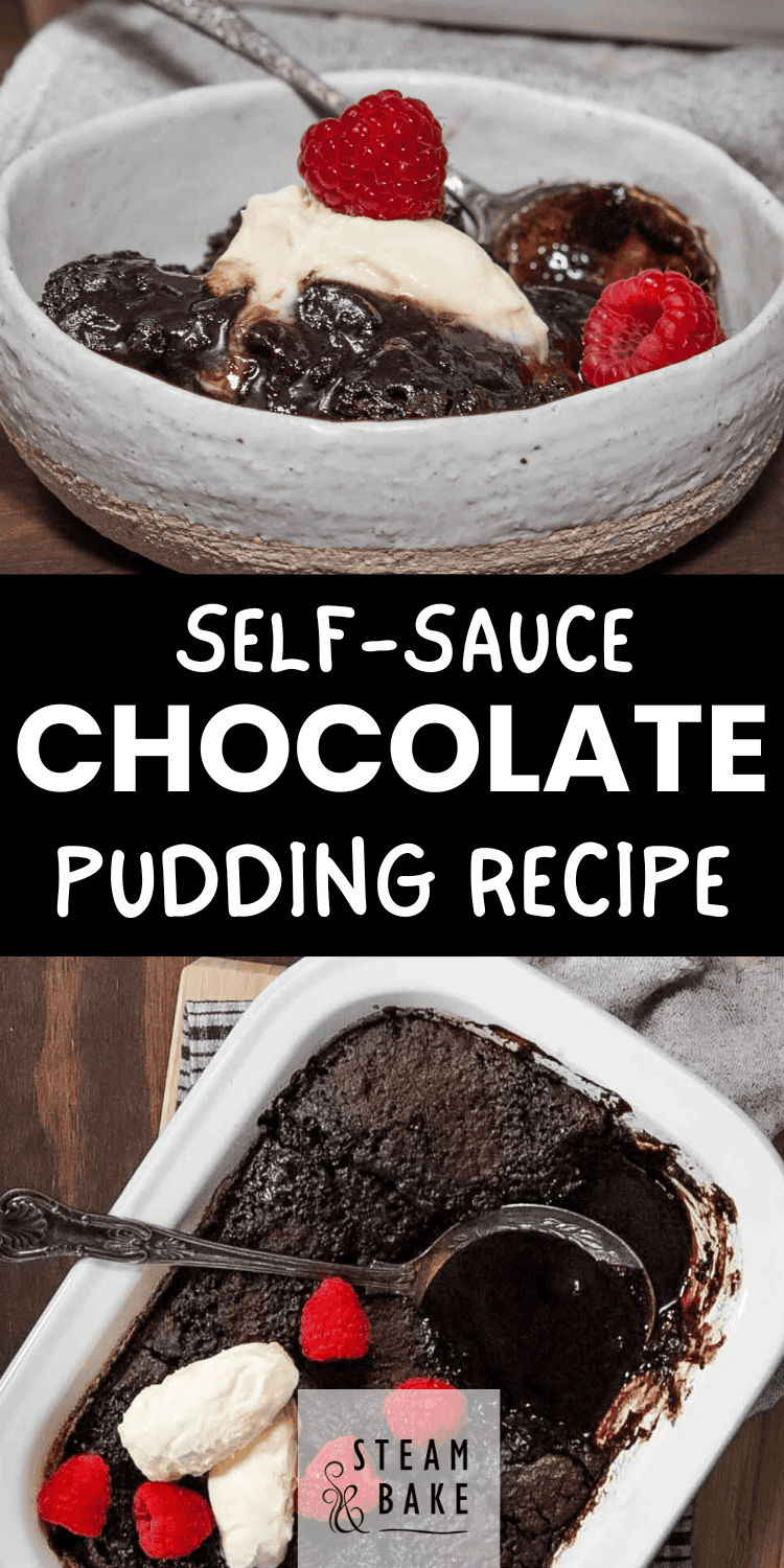 Quick Self Saucing Steam Oven Chocolate Pudding - Steam & Bake
