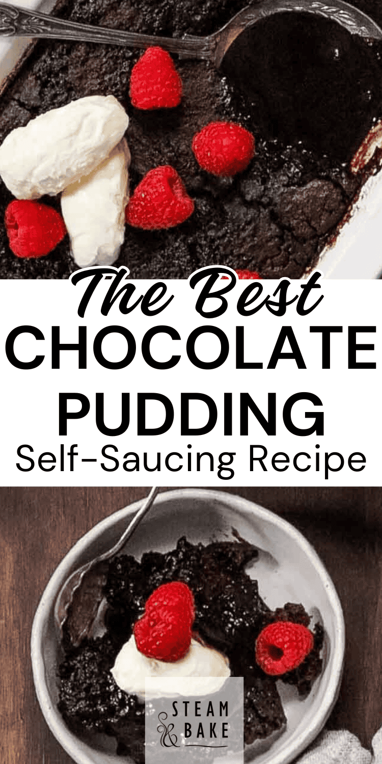 Quick Self Saucing Steam Oven Chocolate Pudding - Steam & Bake